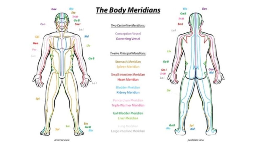 Electrodermal Screening (EAV - ElectroAcupuncture According to Voll ...
